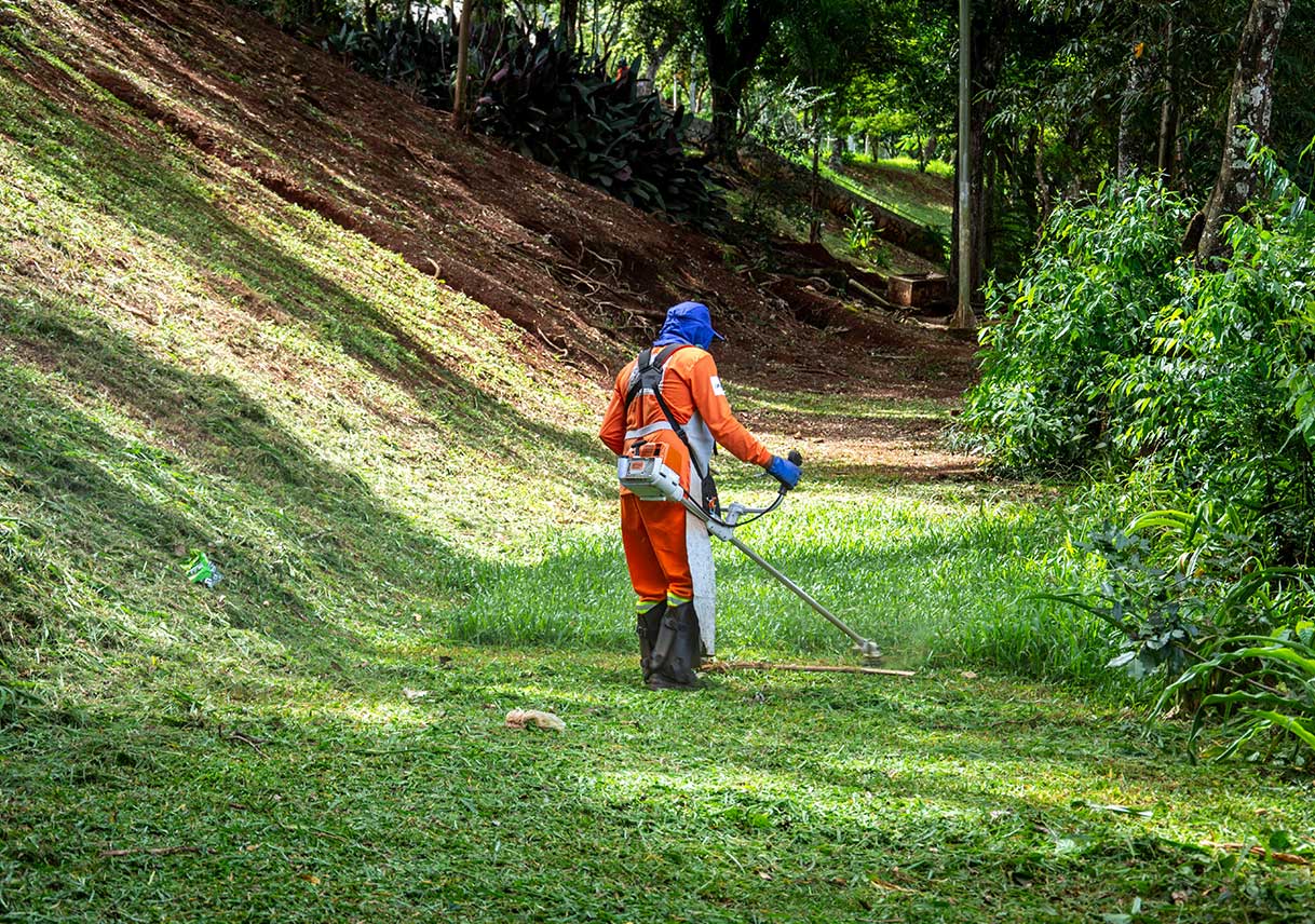 Ground Maintenance - Chuck Strayve Landscape LTD